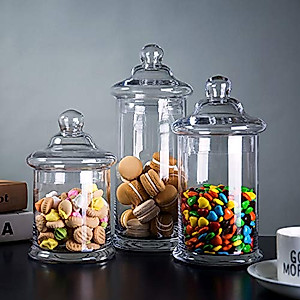 Diamond Star Set of 3 Clear Glass Apothecary Jars Elegant Storage Jar with Lid, Decorative Wedding Candy Organizer Canisters Home Decor Centerpieces (H: 11", 8.5", 7.5" D: 5")