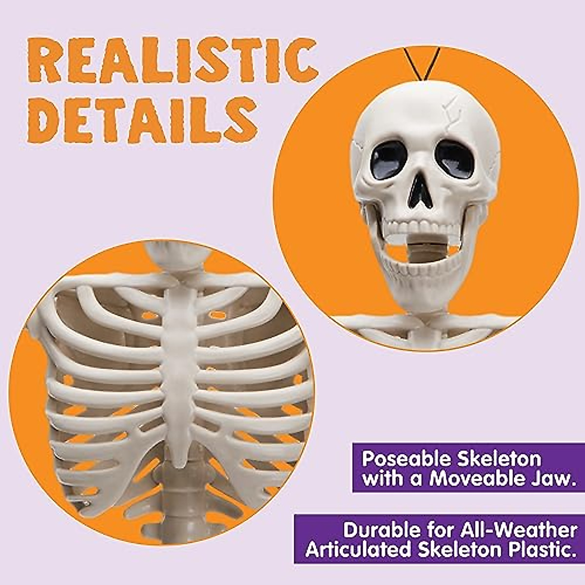 JOYIN 2 PCS 16 Inches Halloween Skeletons Full Body Posable Joints Skeletons for Halloween Graveyard Decorations, Haunted House Accessories