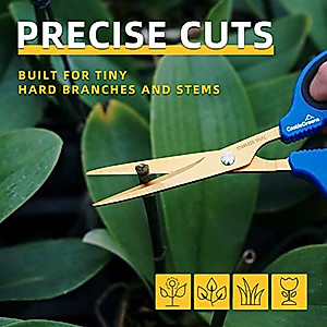 Plant scissors 60mm Gardening Shears (Titanium plated coating Bonsai Scissors) Practical and Light Pruning Shear,plant shears pruning indoor & outdoor