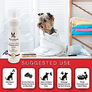 Warren London Foaming Pet Facial | Tear Free Dog Face Wash | Tearless Dog Shampoo for Faces & Dog Eye Stain Remover | Refreshing Cucumber Melon Wash | Made in USA | 8oz