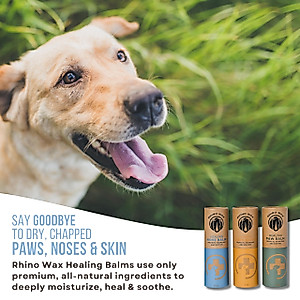 Rhino Wax - Dog Care Kit - Healing Dog Paw Pad Balm + Snout Soother for Dogs + Skin Soother - Relieves Pain, Nourishes and Heals - For Dry, Irritated Paws, Noses and Skin - Lick-Safe - Made in the USA