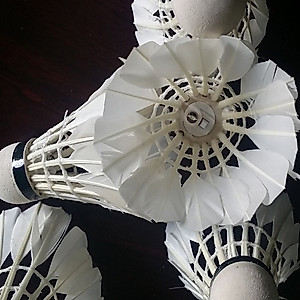 Bringsine LED Badminton Shuttlecock Dark Night Birdies Lighting for Kids Outdoor Sports-Red 4PCS