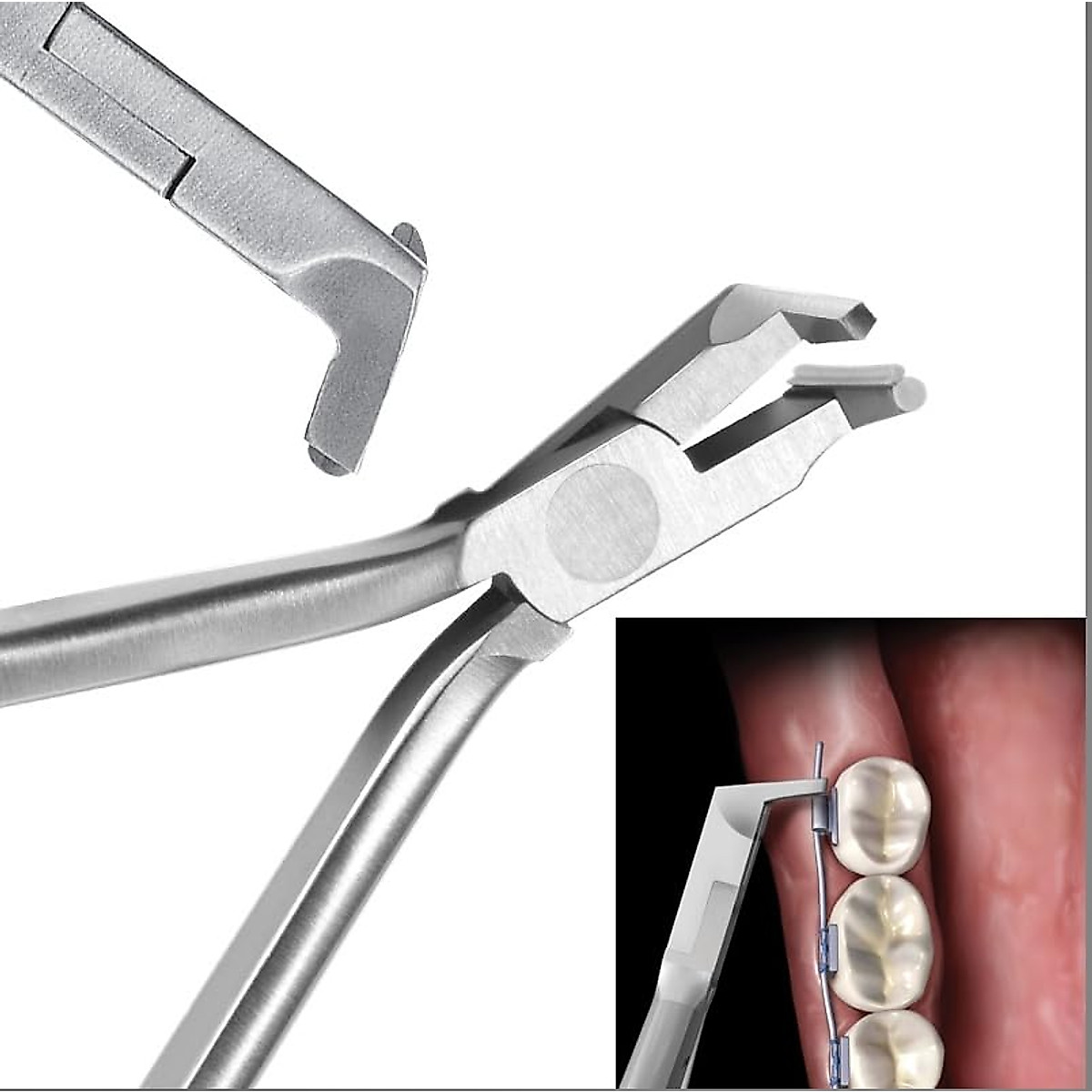 Dental Orthodontic Distal Cutter Plier,Orthodontic Flush Cutter, Distal End Cutter With Safety Holder,Cut Wire Up To A Maximum Of .021" x .025" (.53 mm x .64 mm) Standard Head Long Handle
