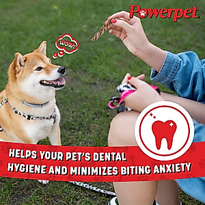 Powerpet Treats Beef Jerky Twists - 100% Natural Dog Chews - High Protein, Low Fat - Made from Premium Beef Esophagus - Promotes Dental Health - Long-Lasting Treats - Great for All Breeds - Pack of 12