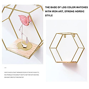 Rendeyuan Hexagonal Iron Stand Small Pot Wall Shelving Holder Home Shelf Storage Holder Decorative Shelves Floating Shelves - Gold - 24x9.5x20.5cm