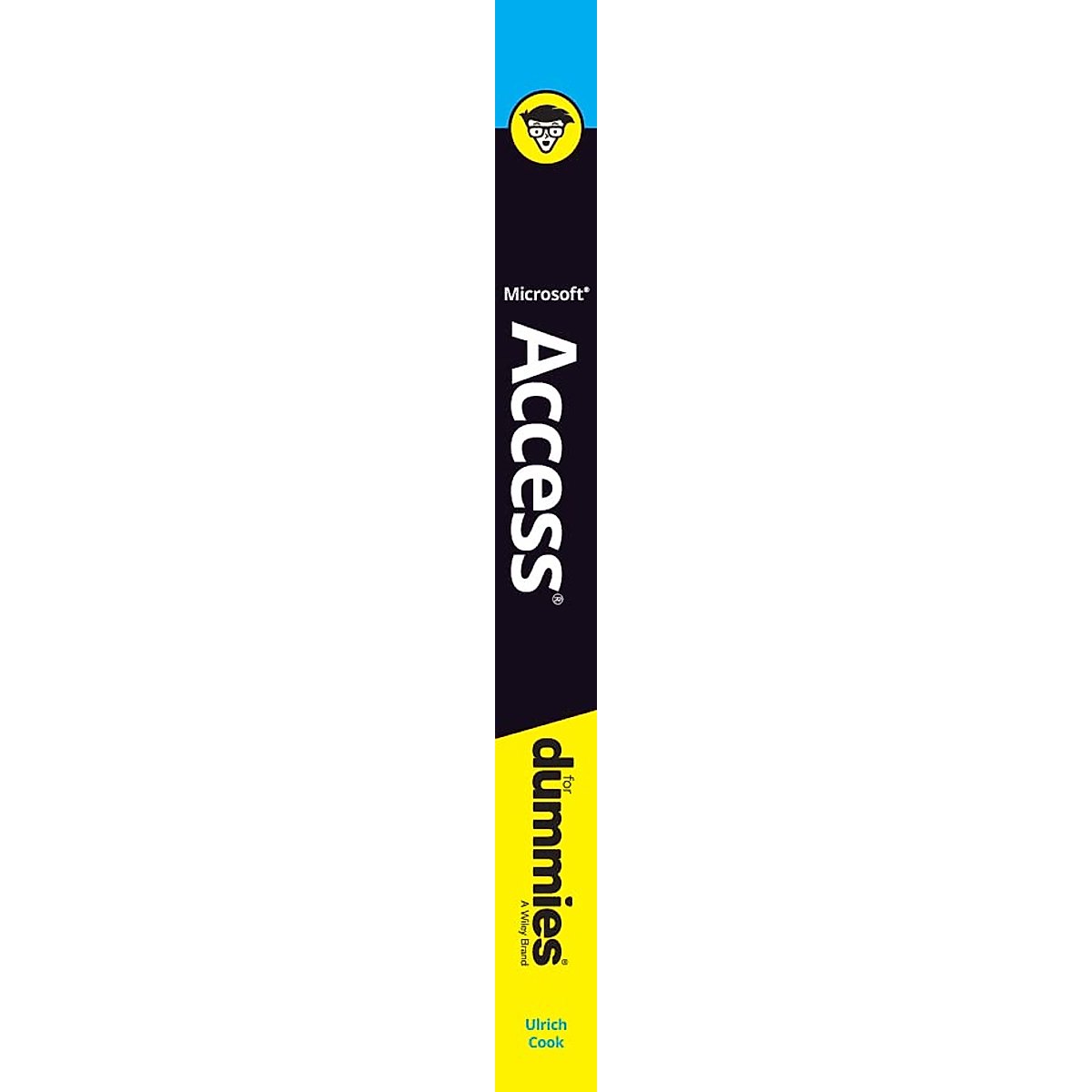 Access For Dummies (For Dummies (Computer/Tech))