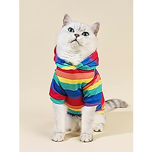 QWINEE Rainbow Colorful Dog Hoodie Sweatshirt Dog Shirt Cat Clothes for Puppy Kitten Small Dogs Multicolor X-Small