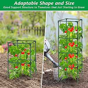 3Pack Tomato Cages for Garden,Square Tomato Plant Cage Support Heavy Duty Pole 57*15.4*15.4 Inches,Steel Plant Tower Stakes,Cherry Tomato Trellis Cucumber for Climbing Vegetables Flowers Fruits-Green