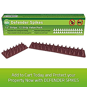 De-Bird Bundle Includes: Defender Spikes 12 pk & Bird Scare Rods 12pk, Outdoor Pest Defenders to Keep Off Pigeon, Woodpecker & Squirrels.