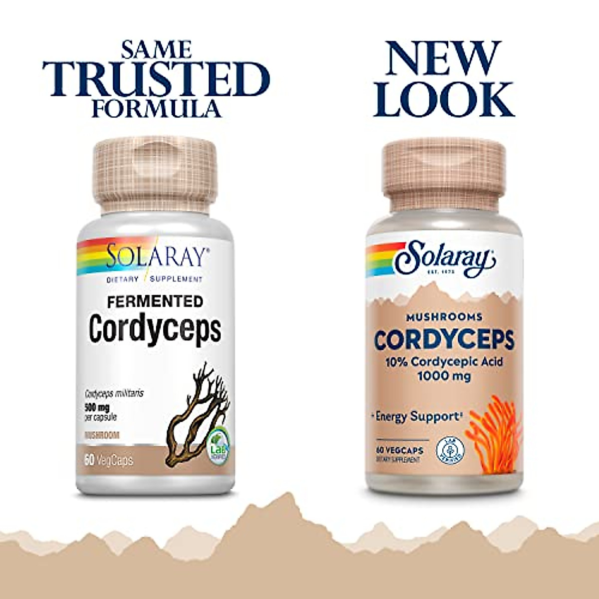 SOLARAY Fermented Cordyceps Mushroom 500 mg | Healthy Heart Function, Energy & Stamina Support | 60 VegCaps, 30 Servings