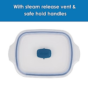 Décor Delish Oblong 1L |Food Storage Container |Leakproof| Ideal for Meal Prep| BPA Free|Dishwasher, Freezer & Microwave Safe, Blue