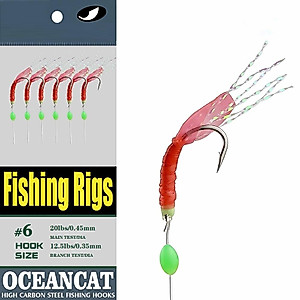 OCEAN CAT 6 Hooks/Set Fishing Rigs Red Rubber Rainbow Silk Fishing lure with Carbon Steel String Hooks Glow Beads Fishing Baits Tackle for Saltwater Freshwater Fishing (#10, 10 Packs)