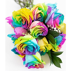 From You Flowers - One Dozen Wild Rainbow Roses with Glass Vase (Fresh Flowers) Birthday, Anniversary, Get Well, Sympathy, Congratulations, Thank You