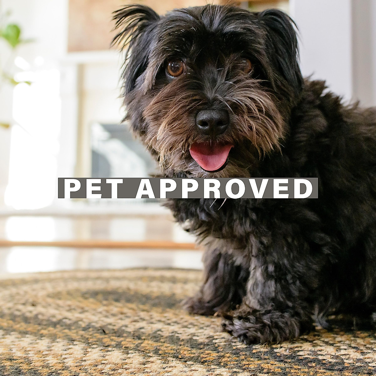 Homespice 20x30” Black Oval Braided Rug. Kilimanjaro Black Jute Oval Rug. Uses- Entryway Rugs, Kitchen Rugs, Bathroom Rugs. Reversible, Rustic, Country, Primitive, Farmhouse Decor Rug