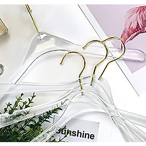 uyoyous Acrylic Clear Hangers 20 Pack Premium Quality Crystal Clear Hangers with Swivel Gold Hook Luxurious Shiny Clothes Hangers Standard Hangers (Clear)