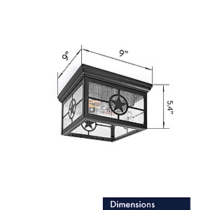 CORAMDEO Country Star Square 2 Light Ceiling Mount Farmhouse Fixture, Indoor or Outdoor, Two Standard Sockets, Open Bottom, Damp Location, Black Powder Coat Finish with Seedy Glass
