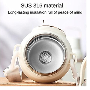 Stainless Steel Water Bottles for School BPA Free Insulated Water Bottle with Straw And Lid (Pink)