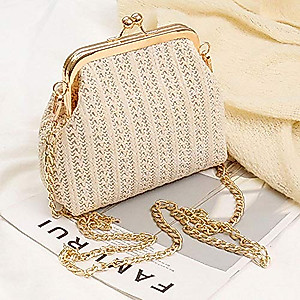 Buddy Supplies Women Straw Weave Handbag Summer Beach Purse Kiss Lock Shoulder Bag Chain Crossbody Bag beige