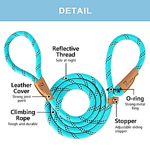 Petarea 5 FT Slip Lead Dog Leash, Heavy Duty Rope Leash for Small Medium Large Dogs, No Pull Training Lead with Reflective Thread, Strong Comfortable Loop Leash (Teal Stripe, Medium(3/8"))