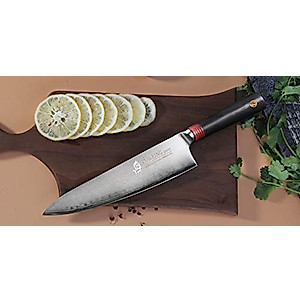 TUO Damascus Chef's Knife - Kitchen Chef Knives - Japanese AUS-10 Damascus Steel - Dishwasher Safe G10 Handle - Gift Case Included - RING-RC Series TC0301RC - 8"