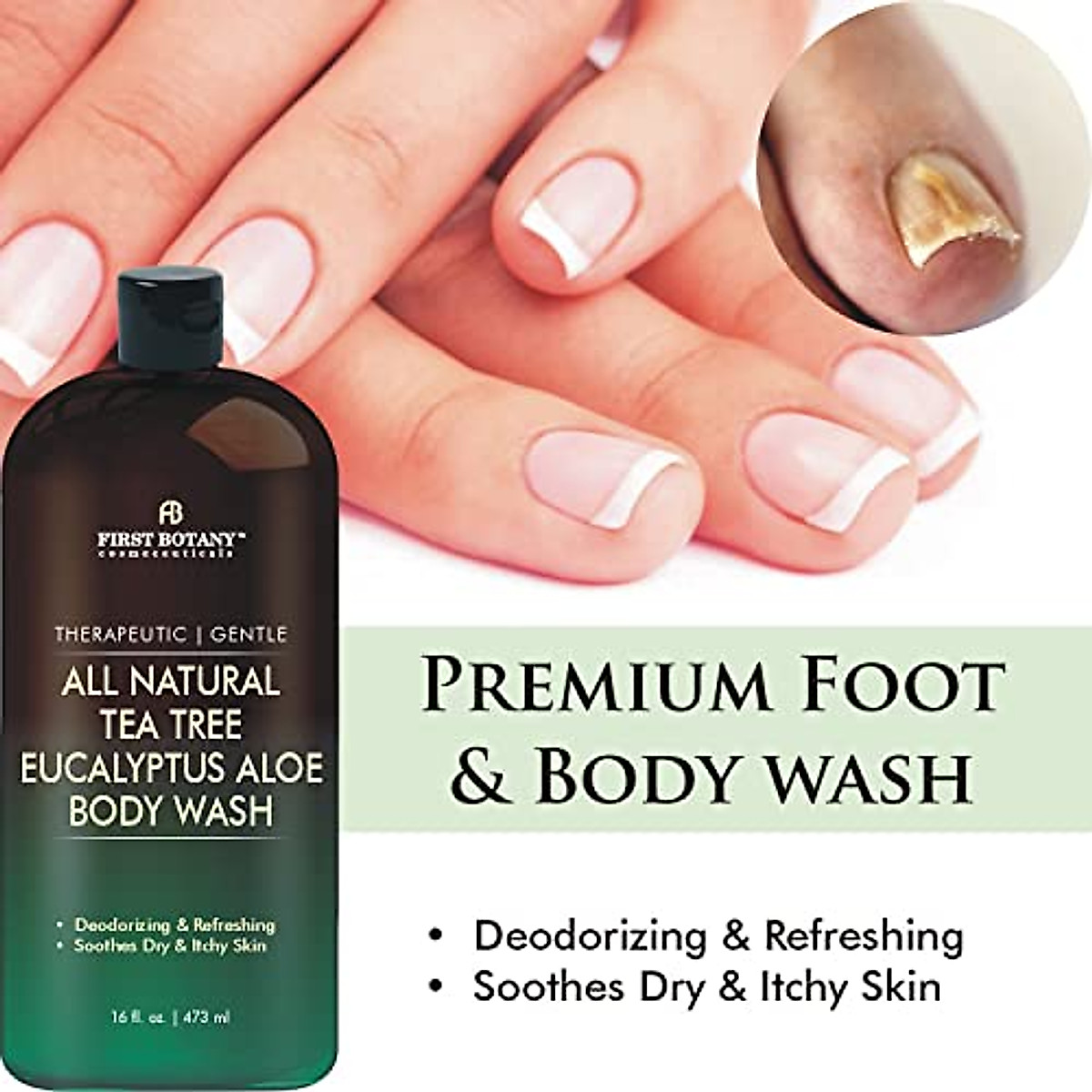 ALL Natural Tea Tree Body Wash - Fights Body Odor, Athlete’s Foot, Jock Itch, Nail Issues, Dandruff, Acne, Eczema, Shower Gel for Women & Men, Eucalyptus Aloe Skin Cleanser / body soap-16 fl oz