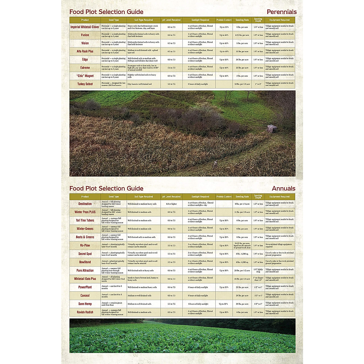 Whitetail Institute Beets & Greens Deer Food Plot Seed for Fall Planting - Blend of Sugar Beets, Kale, Turnip and Radish to Attract and Hold Deer Throughout Fall and Winter, 12 lbs (2 Acres)