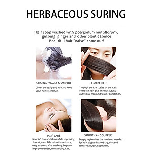 Hair Darkening and Regrowth Solid Shampoo Bar for Hair Loss Treatment for Men & Women (Polygonum multiflorum 2pcs)