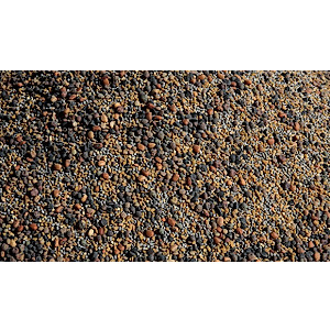 No-Till Cover Crop 13-Seed Mix (1 lb. Bag): [50% Clovers Plus Fenugreek, Vetch, Flax, Cowpeas, Buckwheat, Forage Peas, Millet, Lentils, Crimson Clover, Sweet Yellow, White Clover, Medium Red Clover]