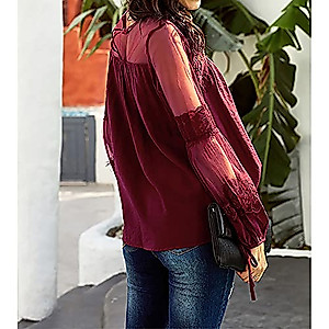 Mayntop Womens Tops Shirt Jacquard Bishop Sleeve See-Through Broderie Anglaise Solid Color Plain Transparent Long Sleeve Loose Blouse(A Wine Red,3XL)