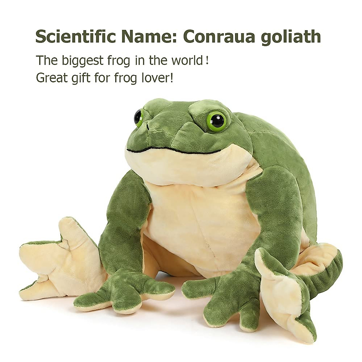 MorisMos Giant Frog Stuffed Animal Frog Plush, Large Stuffed Frog Plush, Big Stuffed Green Frog Pillow for Kids, 22 Inch