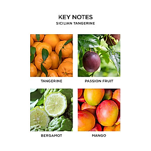 NEST Fragrances Sicilian Tangerine Liquid Soap 10 Fl Oz (Pack of 1)