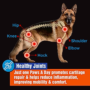 Paws A Day Glucosamine for Dogs Hip & Joint Supplement – “Two-in-One Combo” Dog Joint Care and Improved Skin & Coat with Chondroitin, MSM, Omega 3, Collagen & Biotin, 60 Chewable Tablets