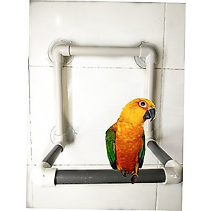 Hypeety Bird Portable Suction Cup Parrot Shower Perch Window Standing Platform Shower Bath Toy for Bird Parrot Macaw Cockatoo African Greys Budgies Parakeet Cockatiel