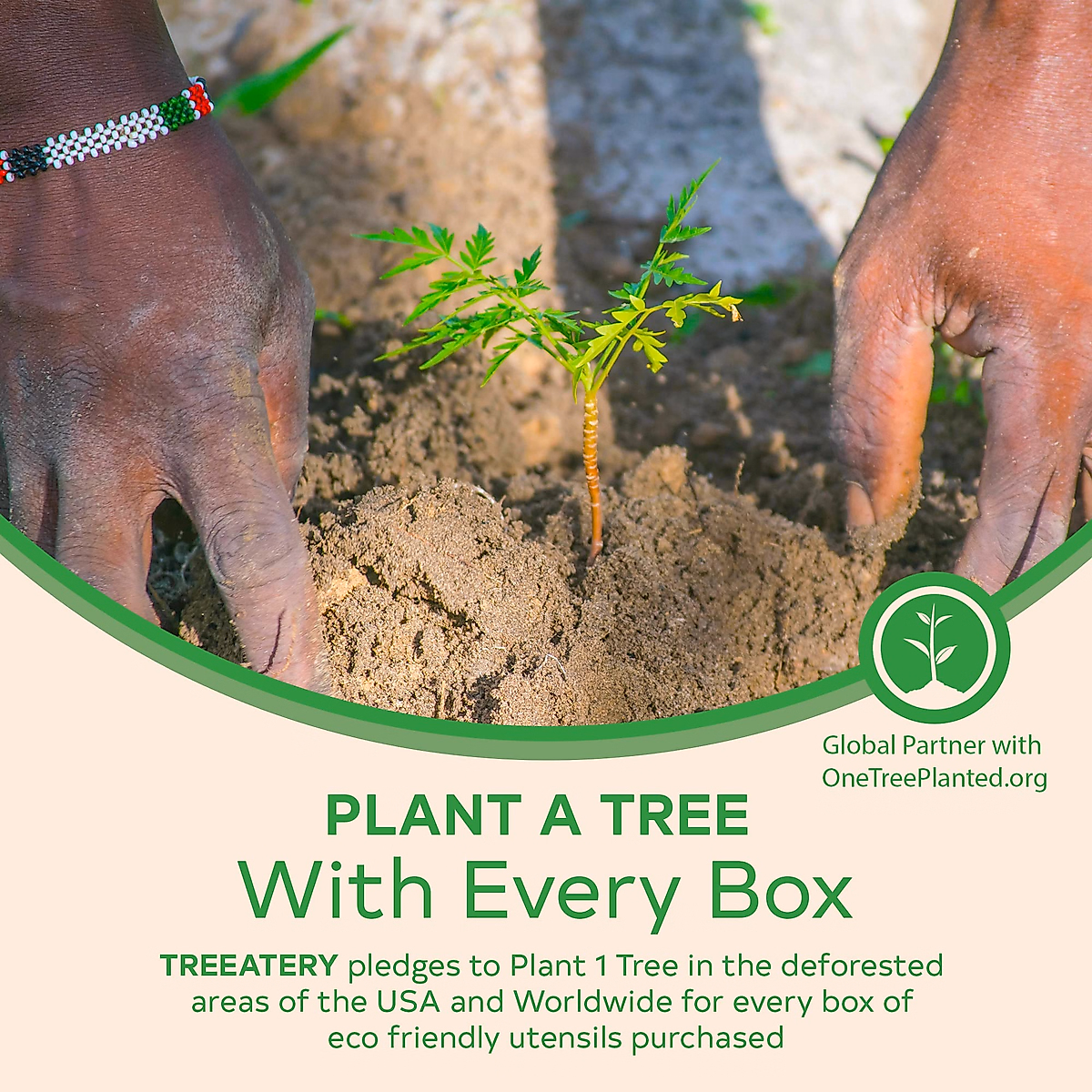 Treeatery - Compostable Cutlery Set, Plant-Based Compostable Utensils Disposable, Dishwasher-Safe Compostable Silverware, 380-Piece Disposable Cutlery, Plant a Tree with Every Box, Ivory White