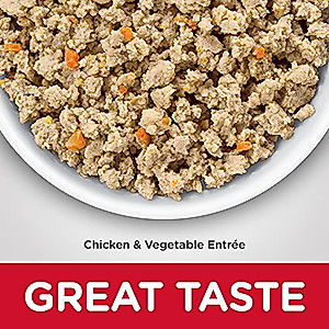 Hill's Science Diet Wet Cat Food, Sensitive Stomach & Skin, Chicken & Vegetable Recipe, 2.9 Ounce (Pack of 24)