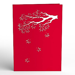 Lovepop Everyday Pop-Up Card for Her and Him- 3D Thinking of You Greeting Cards for Boys, Girls, Men, Women - 5" x 7" Maple Tree - Blank Note Card & Envelope Included