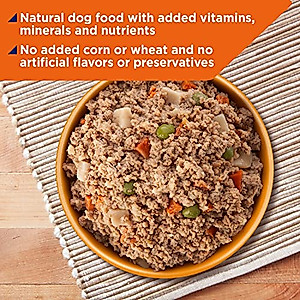 Nature's Recipe Wet Dog Food, Chicken, Rice & Barley Recipe Ground Formula, 13.2 Ounce Can (Pack of 12)