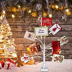 NEEDOMO Money Tree Gift Holder, 24" 2FT Lighted Birch Trees with LEDs, Battery Powered Timer with 12 Clear Clips Card, for Christmas, Lottery Ticket, Memo, Birthday, Wedding, Photo, Graduation (White)