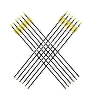 Archery Practice Fiberglass Arrows 24 Inch Target Shooting Safetyglass Recurve Bows Suitable for Youth Children Woman Beginner 12PCS
