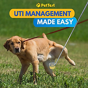 PetTest i-Catch Telescoping Dog Urine Catcher - 45-inch Extendable Dog Pee Stick Collector and Telescopic Pole Handle for Small and Large Breeds - Includes a Reusable Cup with Milliliter Markings