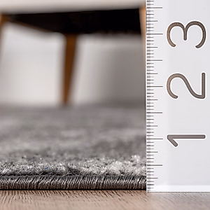 nuLOOM 2' x 3' Performance Indoor Area Rug, Non-Shed, Power Loomed High-Traffic Area Rug for Living Room, Bedroom, Home, Julene Charcoal