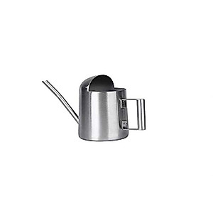 IMEEA Tiny Watering Can for Indoor Plants Bonsai Tree Stainless Steel Small Watering Can Succulents, 11oz/300ml