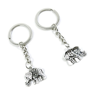 100 Pieces Keychain Keyring Door Car Key Chain Ring Tag Charms Supplies U3VS8A Thai Elephant