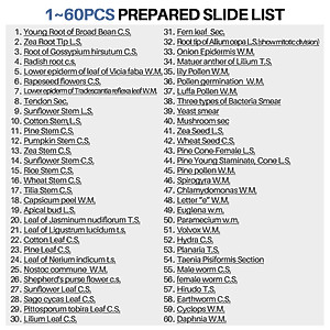 120Pcs Prepared Microscope Slides Animals Insects Plants Bacterial Sample Biological Slide Specimen for Kids Students Adults, for Science Study and Education