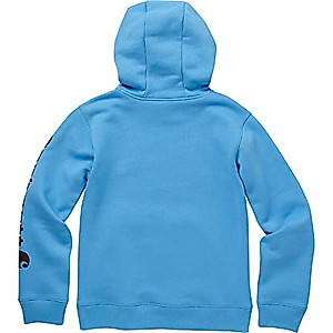 Carhartt Boys' Little Long Sleeve Hooded Sweatshirt, Azure Blue, 7