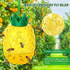 Wasp Trap 2 Pack, Trap Yellow Jacket, Hornets Naturally
