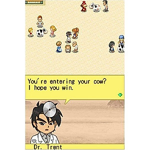 Harvest Moon DS Cute (Renewed)