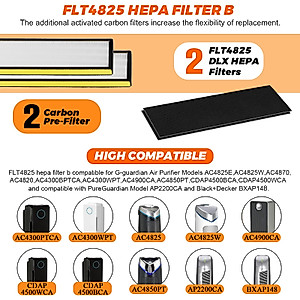Blutoget FLT4825 Replacement Filter B Replaces AC4825 AC4825E AC4825DLX(Pack of 2 x HEPA Filters + 2 x Carbon Pre-Filters)