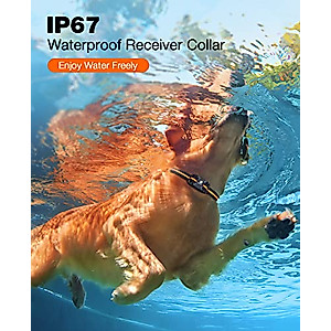 Bousnic Dog Shock Collar - 3300Ft Dog Training Collar with Remote for 5-120lbs Small Medium Large Dogs Rechargeable Waterproof e Collar with Beep(1-8), Vibration(1-16), Safe Shock(1-99) (Orange)