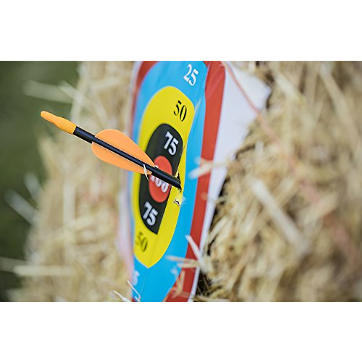 Bear Archery Youth Safety Glass Arrows, Durable & Splinter-Free Fiberglass Arrows, Nocks and Points Included, 28" Length